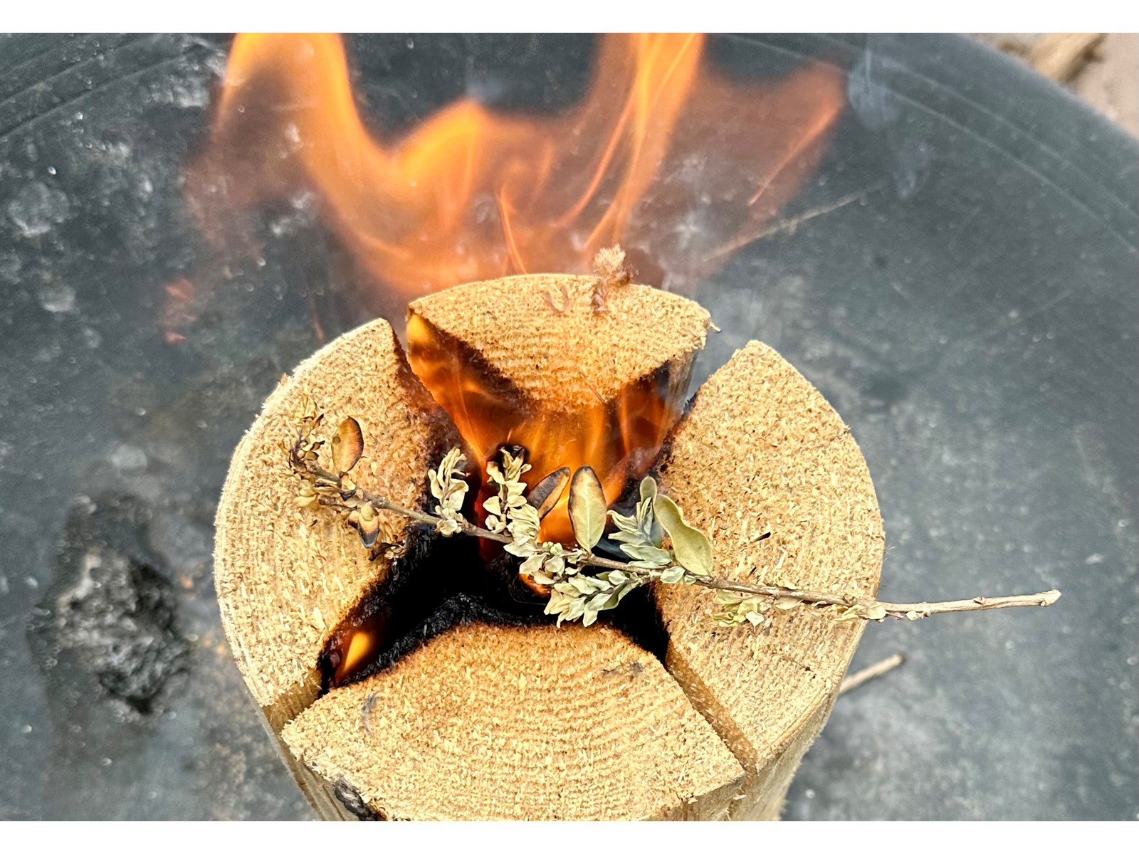 Leerlingen verbranden oude palmtakjes bij start veertigdagentijd ...